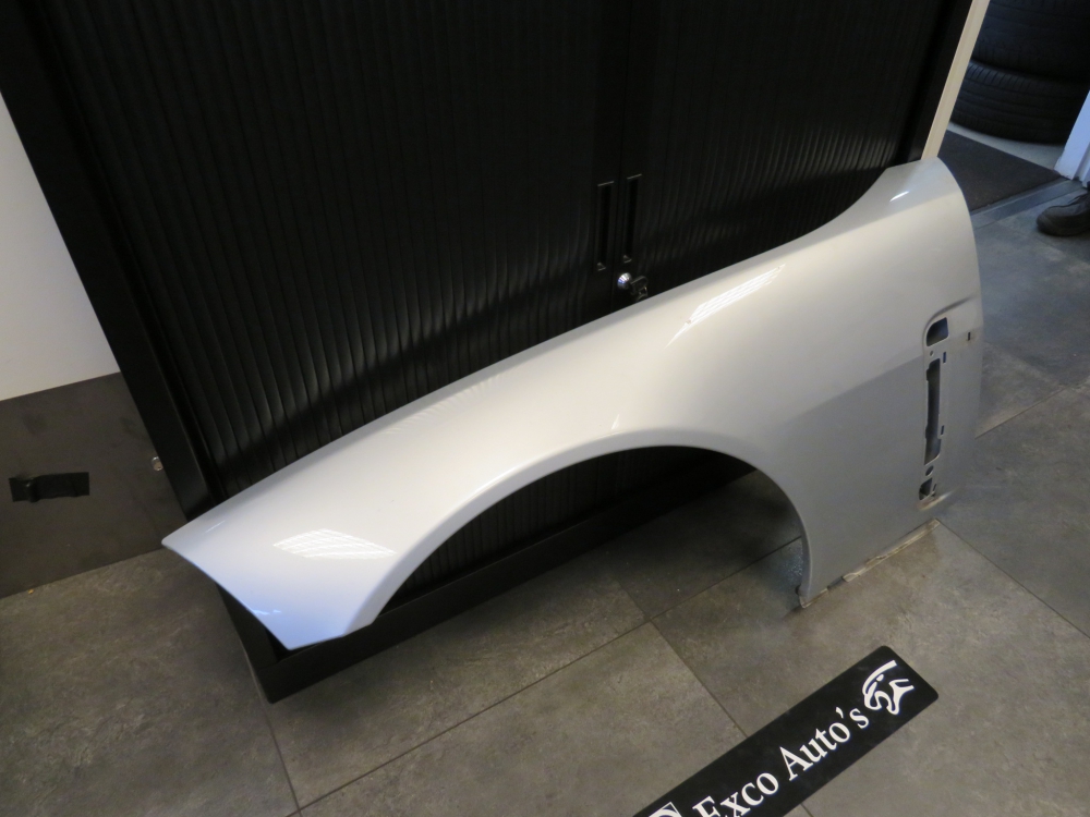 Jaguar XK Kotflugel links C2P21996 C2P9133 C2P11579 C2P13326 6W8316006 ...